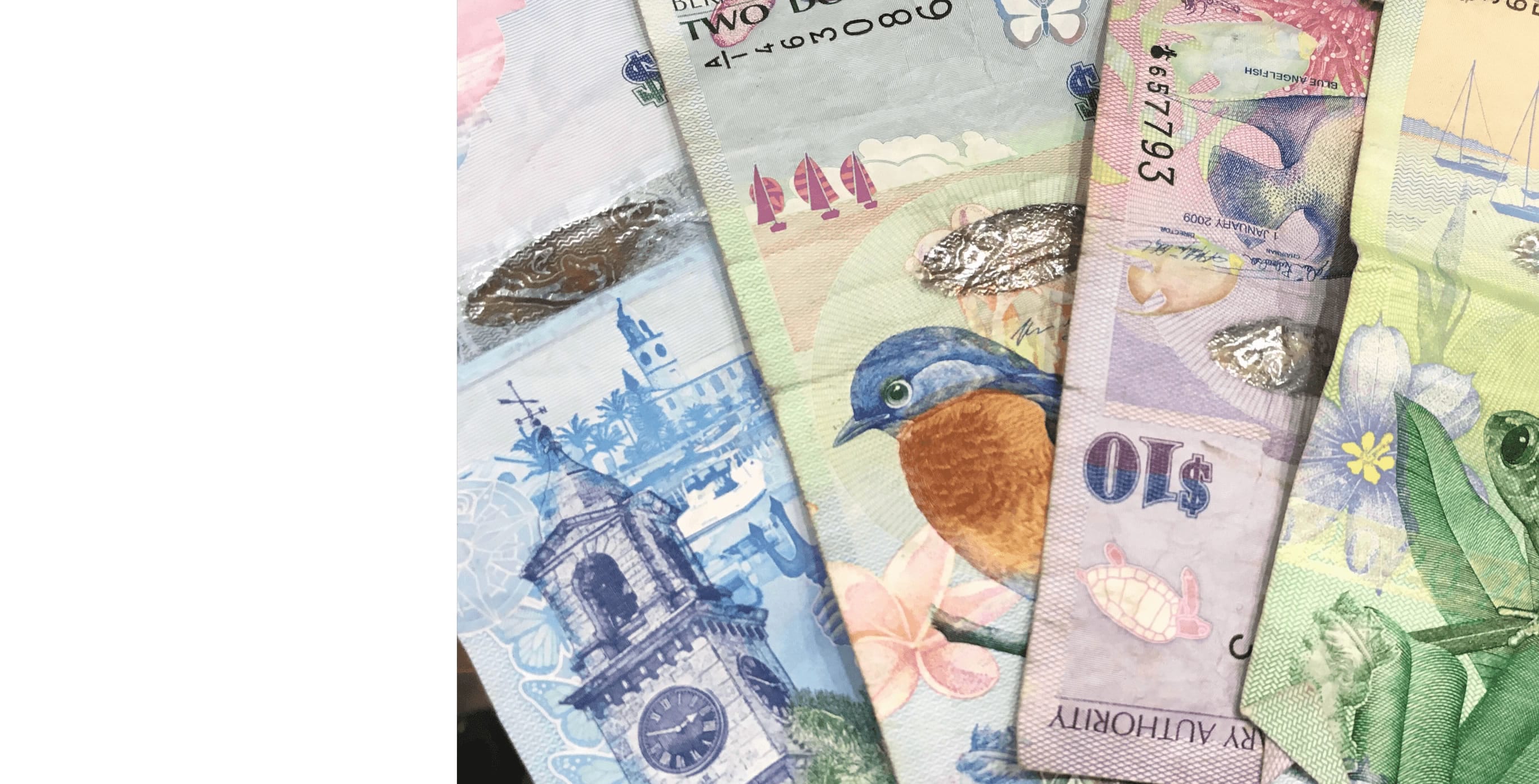 The Guide to Preparing for a Cashless World