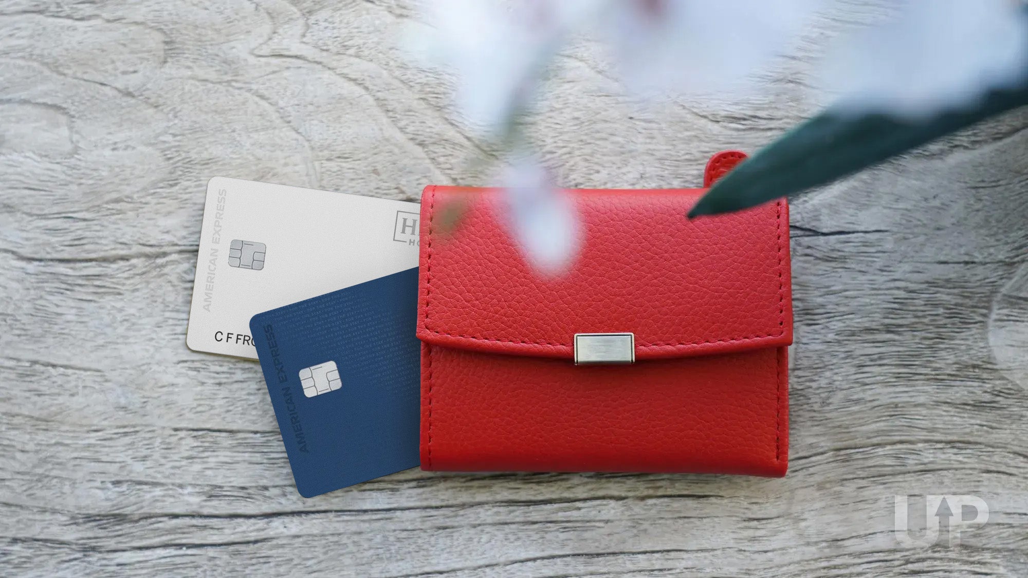 Hilton Surpass Card vs. Hilton Honors Card [2026 Comparison]