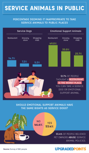 The Perceptions of Service Animals [An In-Depth Survey]