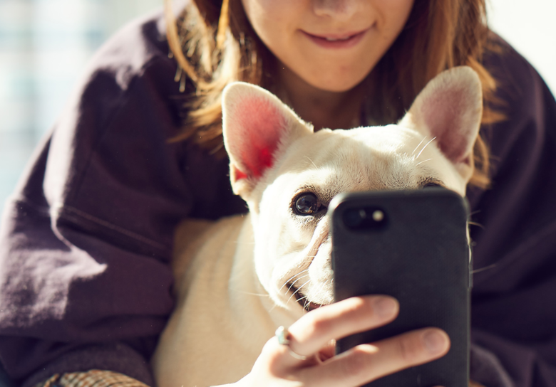 List of Pet-Friendly Marriott Brands in 2023 [Policies, Sizes]