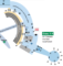 Ronald Reagan Washington National Airport [DCA] Terminal Guide