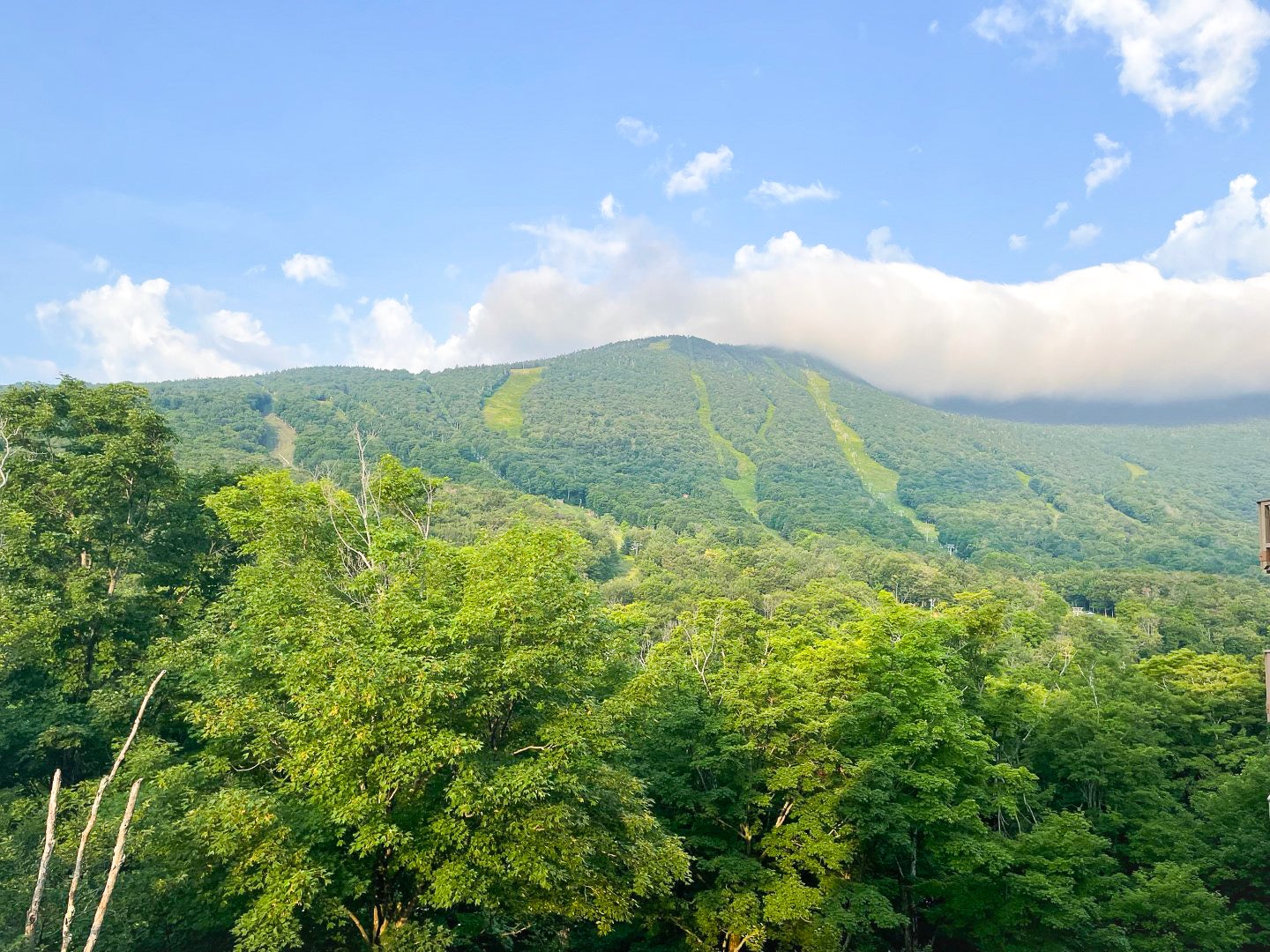 Destination by Hyatt's The Lodge at Spruce Peak [In-depth Review]