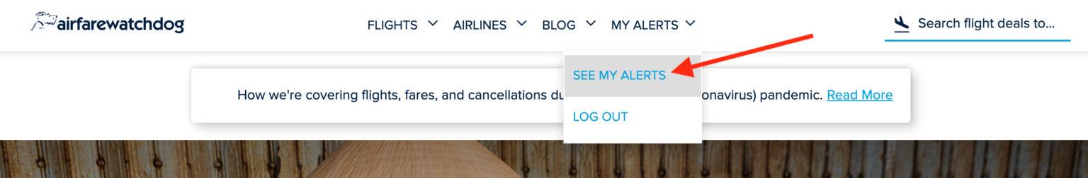 The 7 Best Websites for Flight Deal Alerts [Don’t Miss Out!]