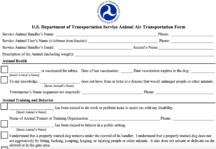 Ultimate Guide to Service Dogs on Planes [2023 Airline Rules]