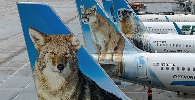 Frontier Airlines Now Flies Between Phoenix and Tampa