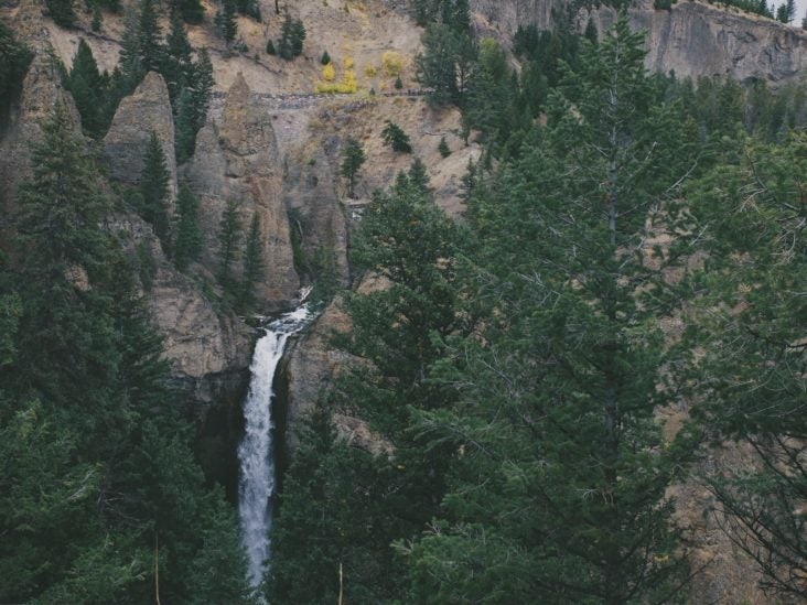 The Ultimate Travel Guide to Yellowstone National Park [2022]