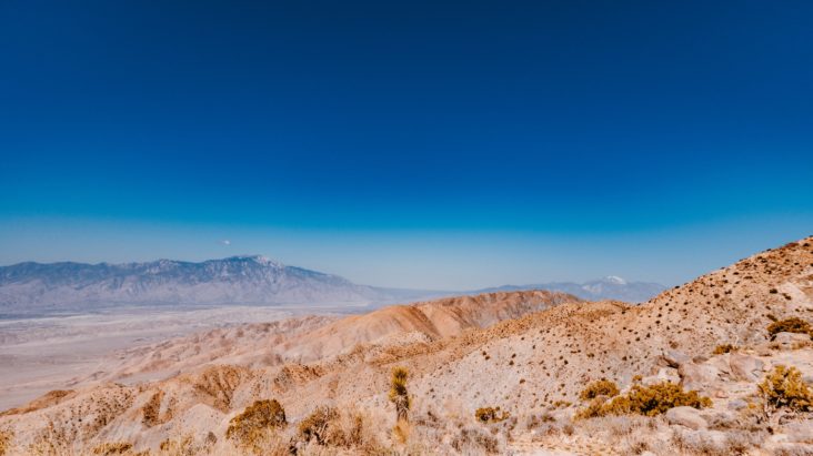 The Ultimate Guide to Joshua Tree National Park [2023]