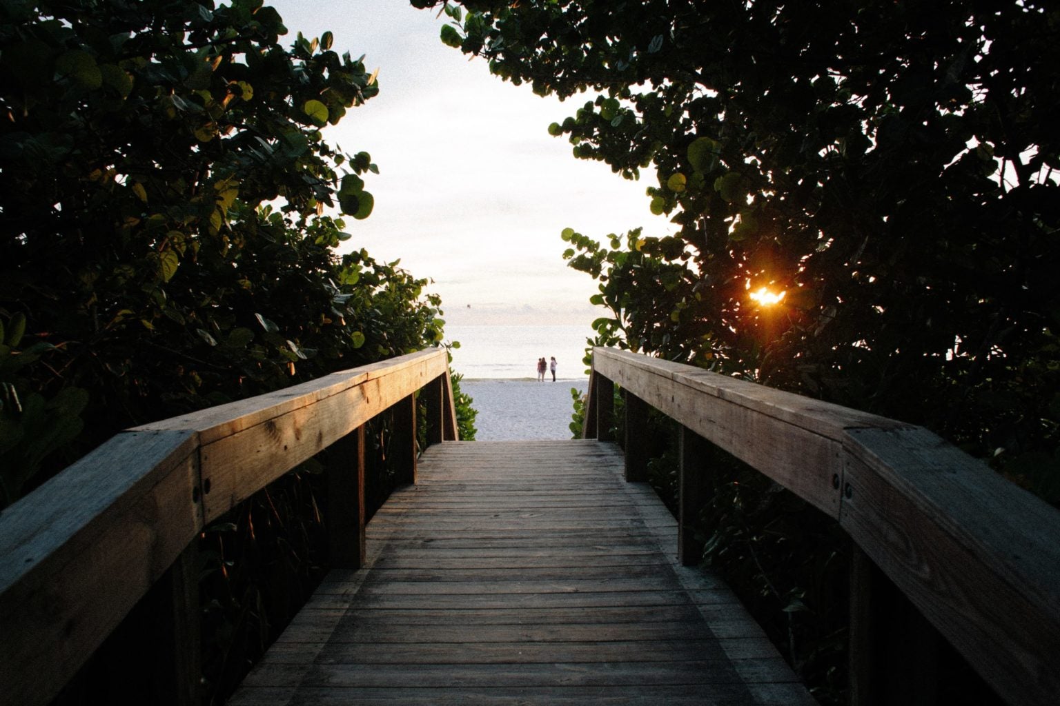 2023 Guide to Everglades National Park: Best Things To Do & See!
