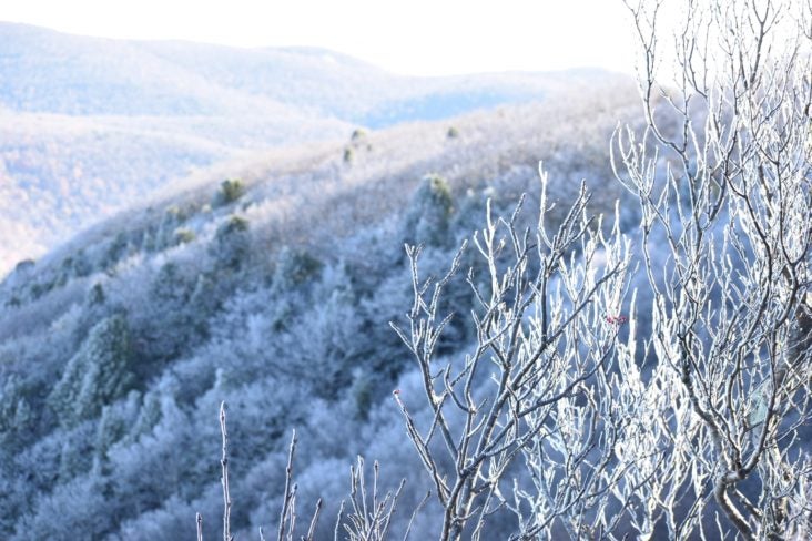 The Ultimate Guide to Shenandoah National Park [2023