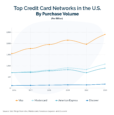 U.S. Credit Card Market Share - Facts & Statistics [2023]