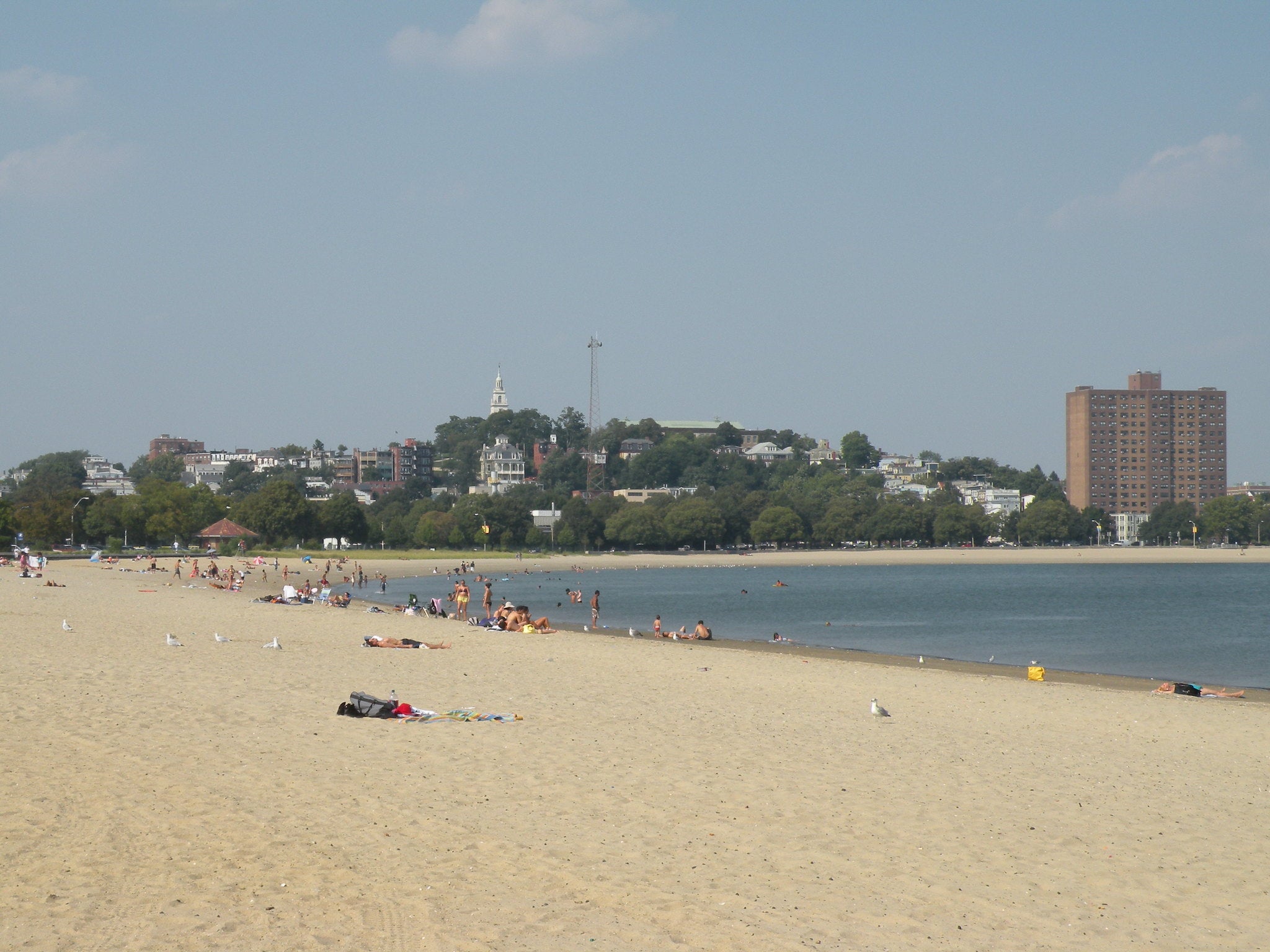 16 Best Beaches in Massachusetts in 2023 [Cape Cod, Nantucket]