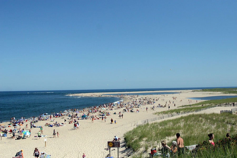 16 Best Beaches in Massachusetts in 2023 [Cape Cod, Nantucket]
