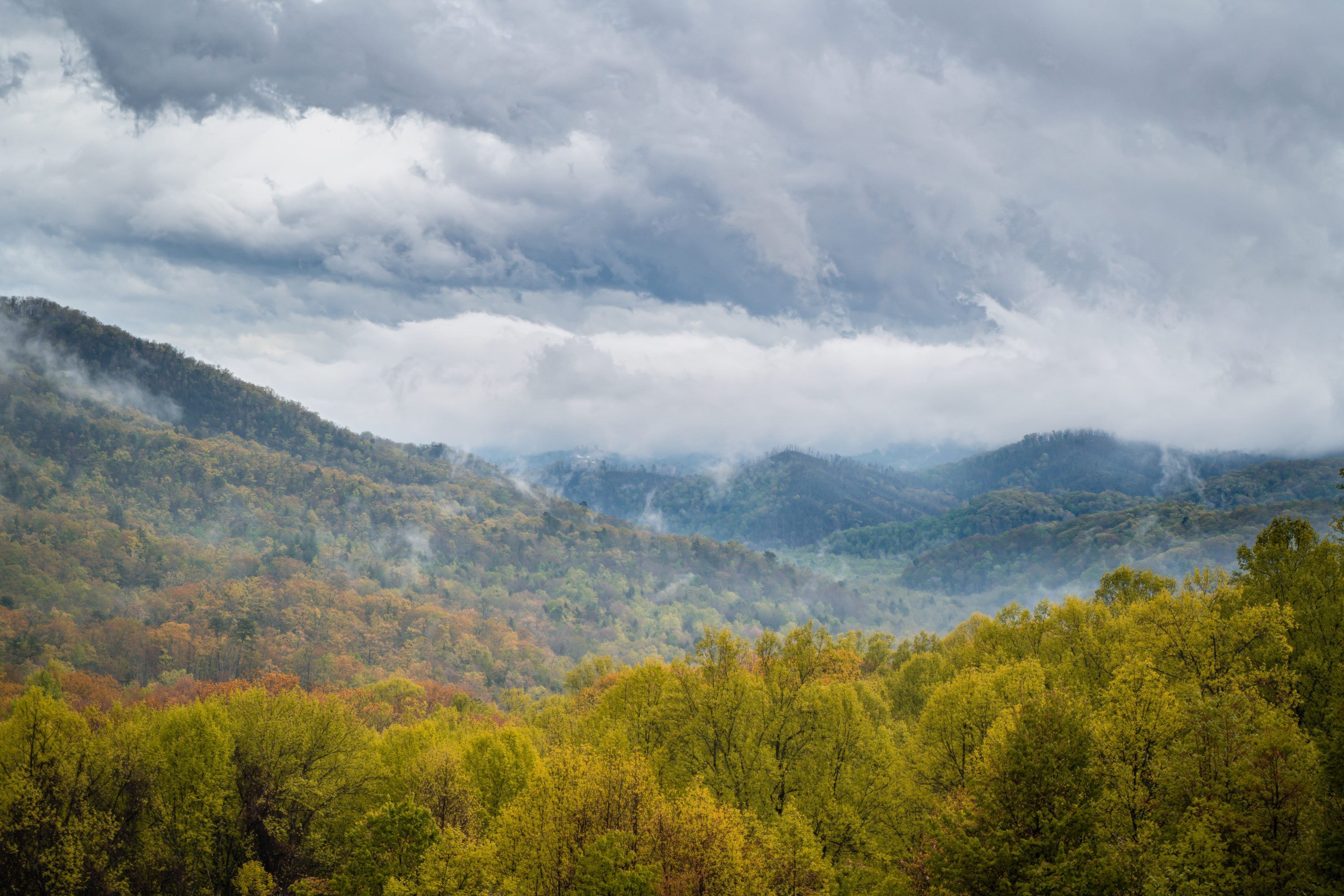 Ultimate Guide To Great Smoky Mountains National Park Ultimate Guide To Great Smoky Mountains National Park