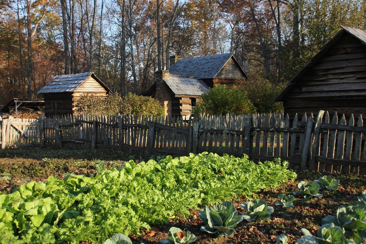 Ultimate Guide to Great Smoky Mountains National Park []
