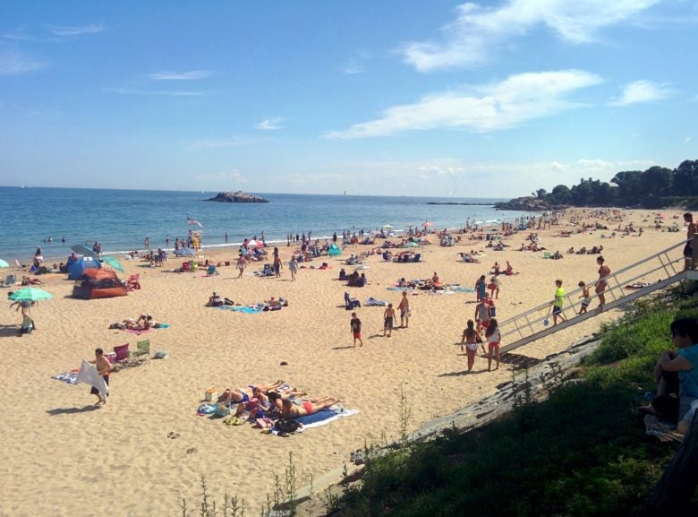 16 Best Beaches in Massachusetts in 2023 [Cape Cod, Nantucket]