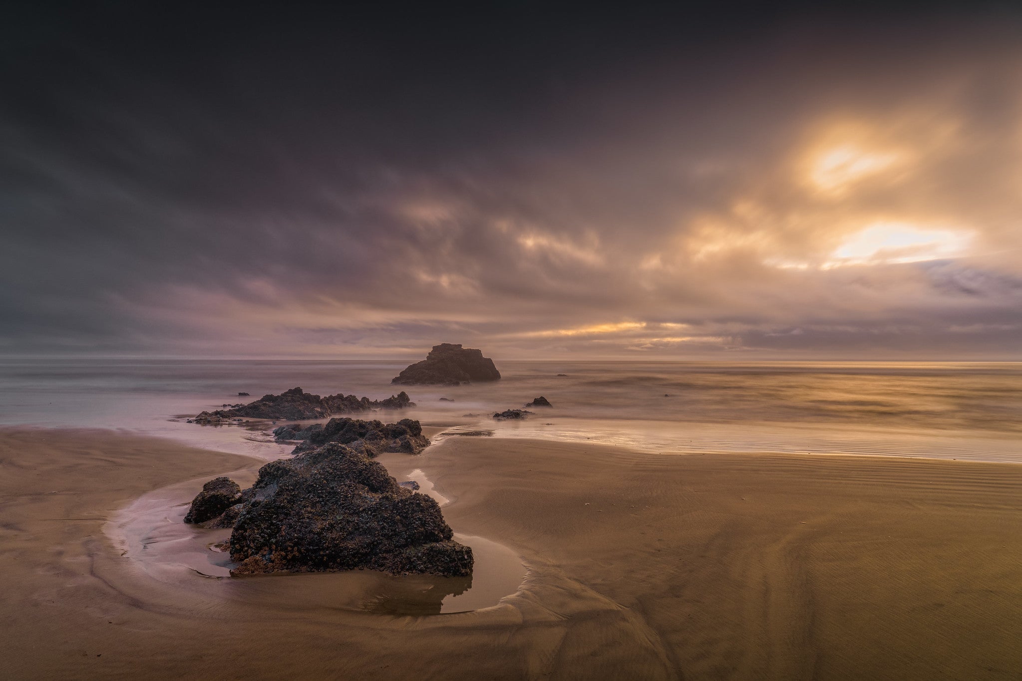 The 15 Best Beaches in Oregon in 2023 [With Detailed Map]