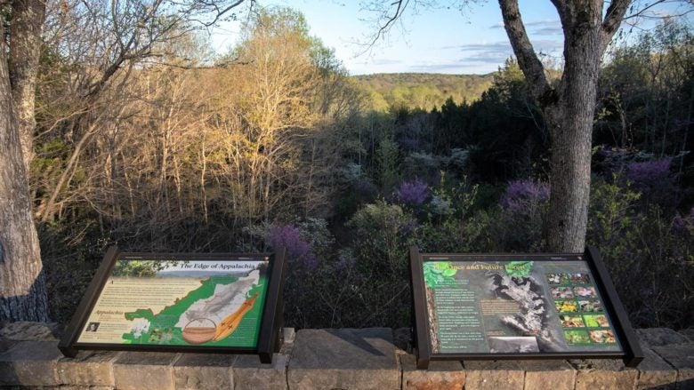The Ultimate Guide to Mammoth Cave National Park [2023]