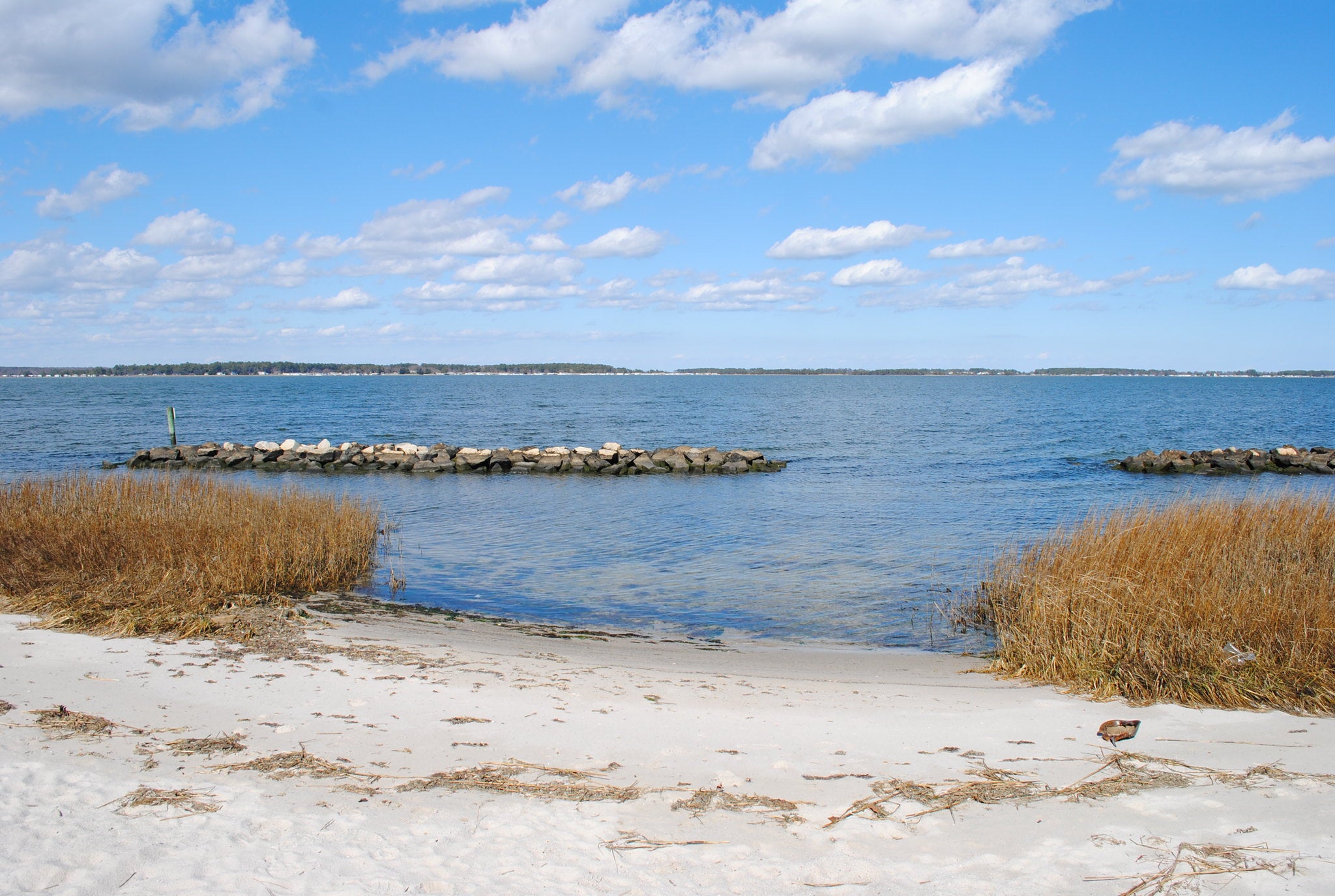 The 10 Best Beaches in Delaware [2023]