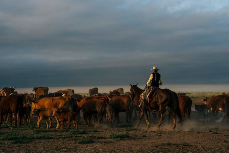 Guide to Great Sand Dunes National Park & Preserve [2023]