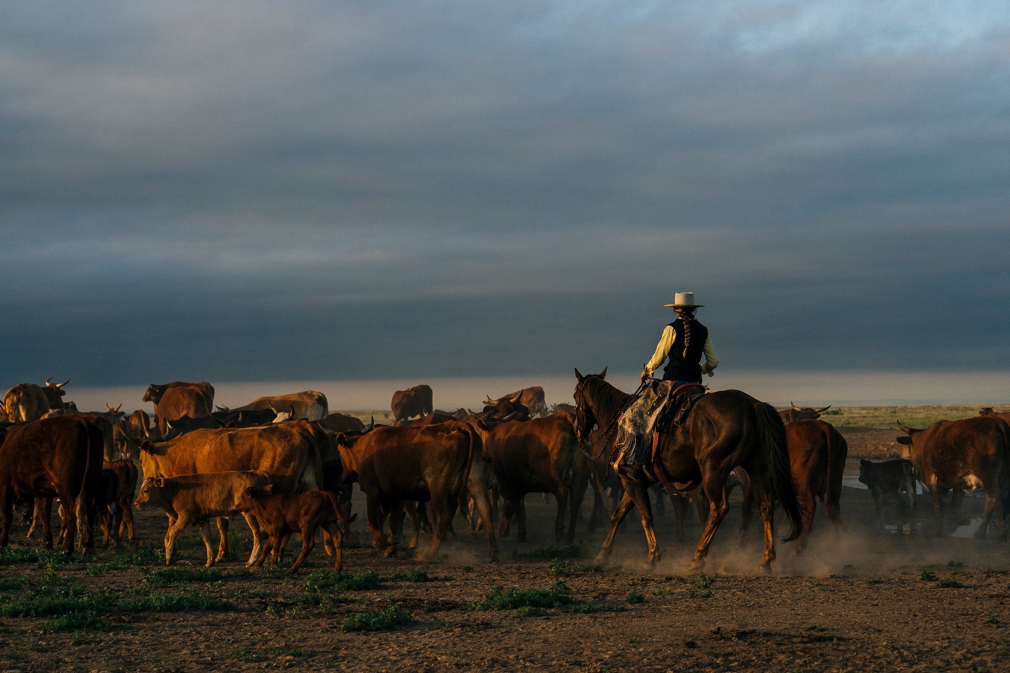 Guide to Great Sand Dunes National Park & Preserve [2023]