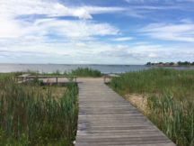 The 15 Best Beaches in Connecticut in 2023 [With Detailed Map]