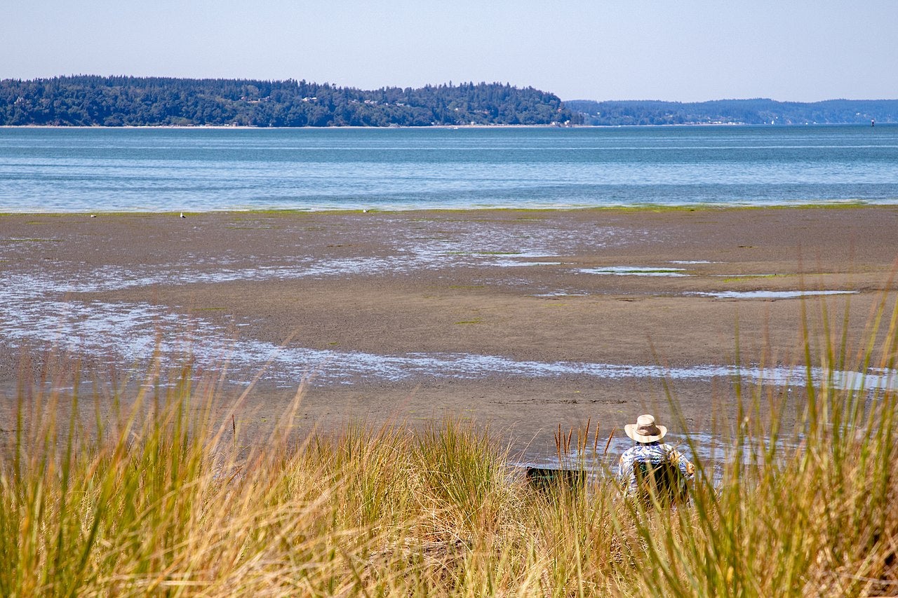 The 13 Best Beaches in Washington State [2023]