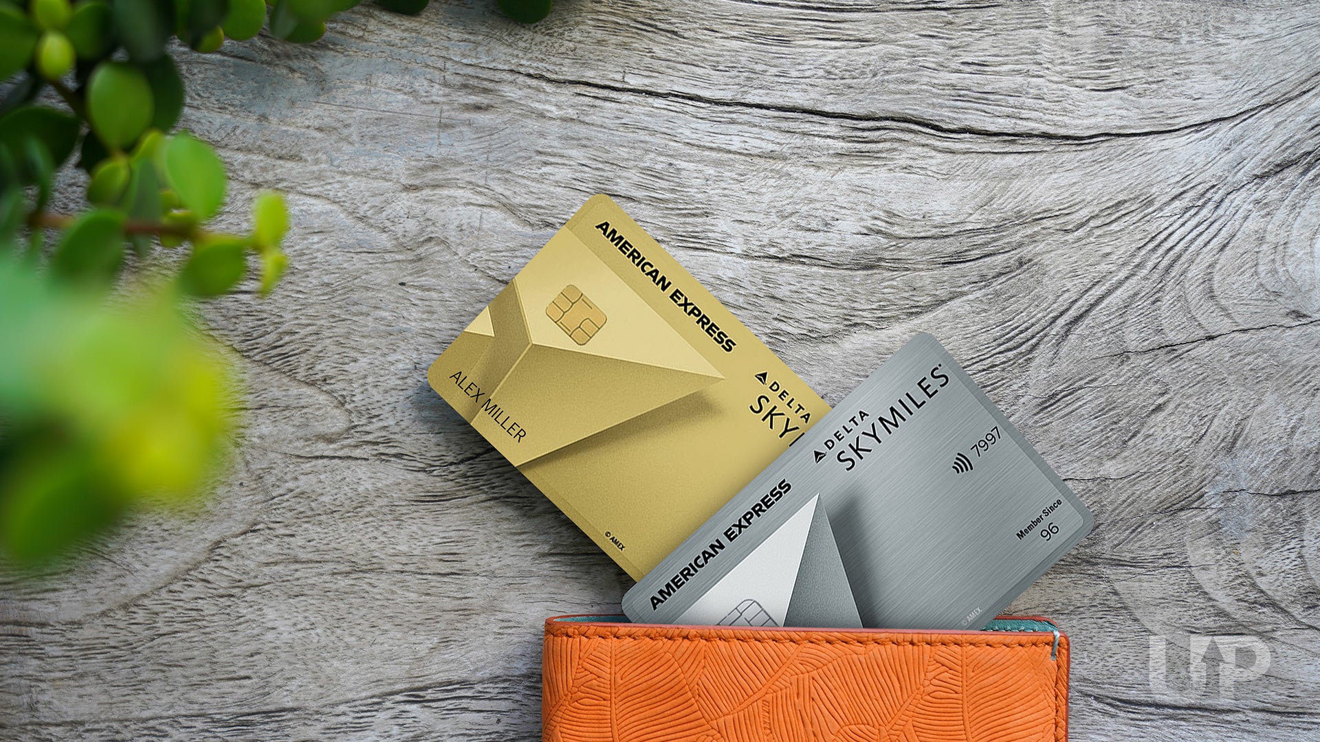 Delta Platinum Card vs. Delta Gold Card [2025 Comparison]