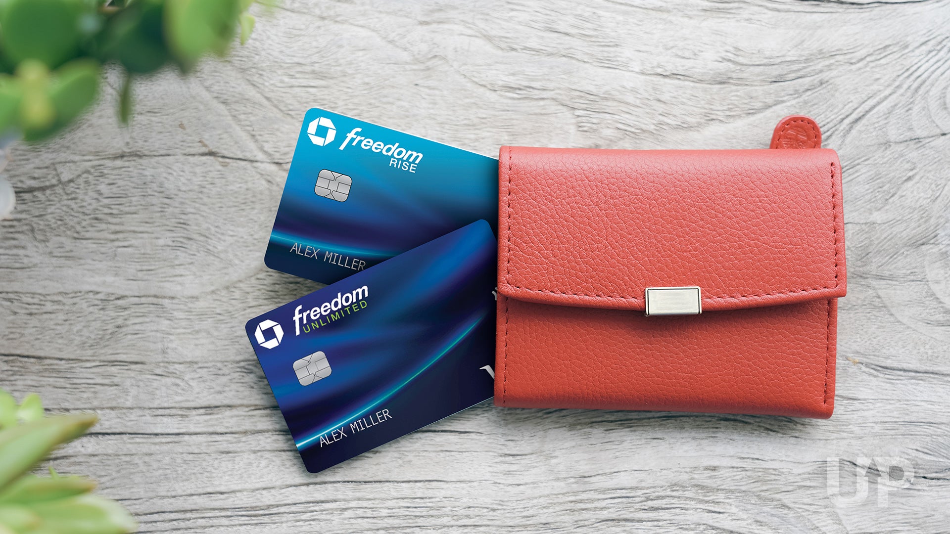 Chase Freedom Student Card vs. Freedom Unlimited Card