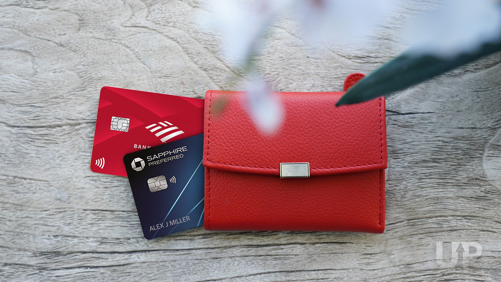 Sapphire Preferred vs. Bank of America Customized Cash Card