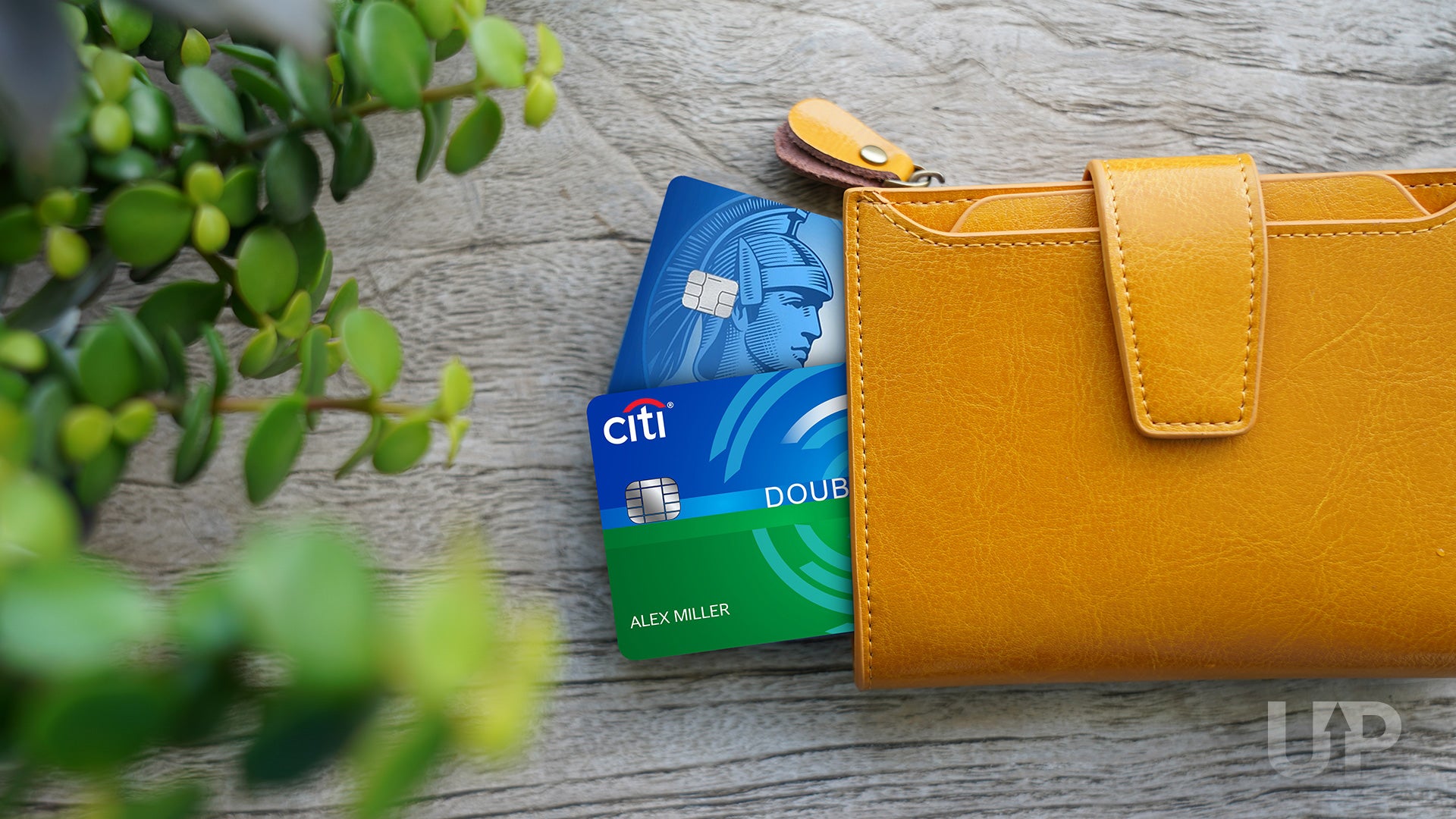 Citi Double Cash Card vs. Amex Blue Cash Everyday Card [2026]